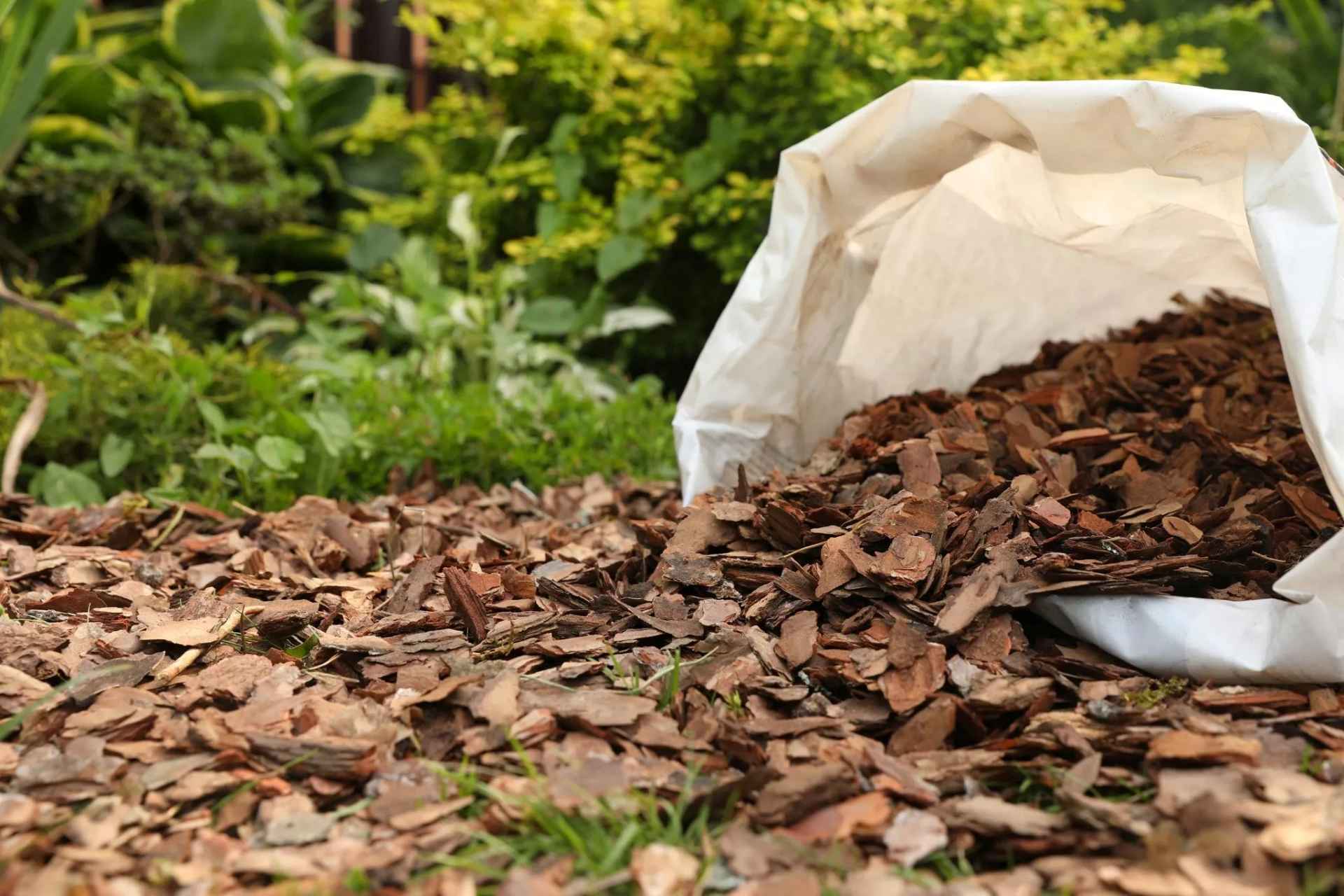 What is Mulch? | Gloucestershire Garden Design
